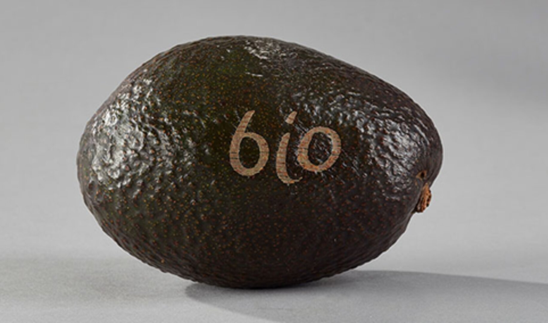 Laser marking of food - Laser marking of food