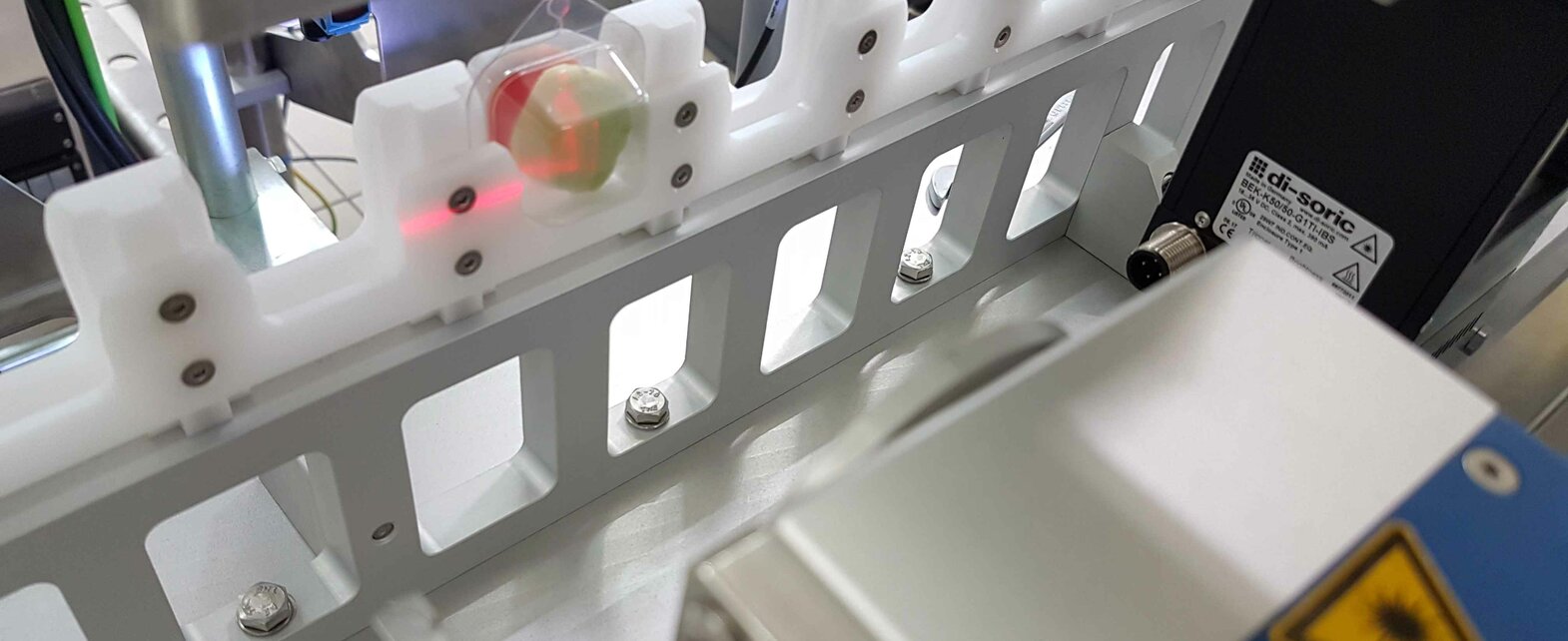 Laser marking of food - Laser marking of food