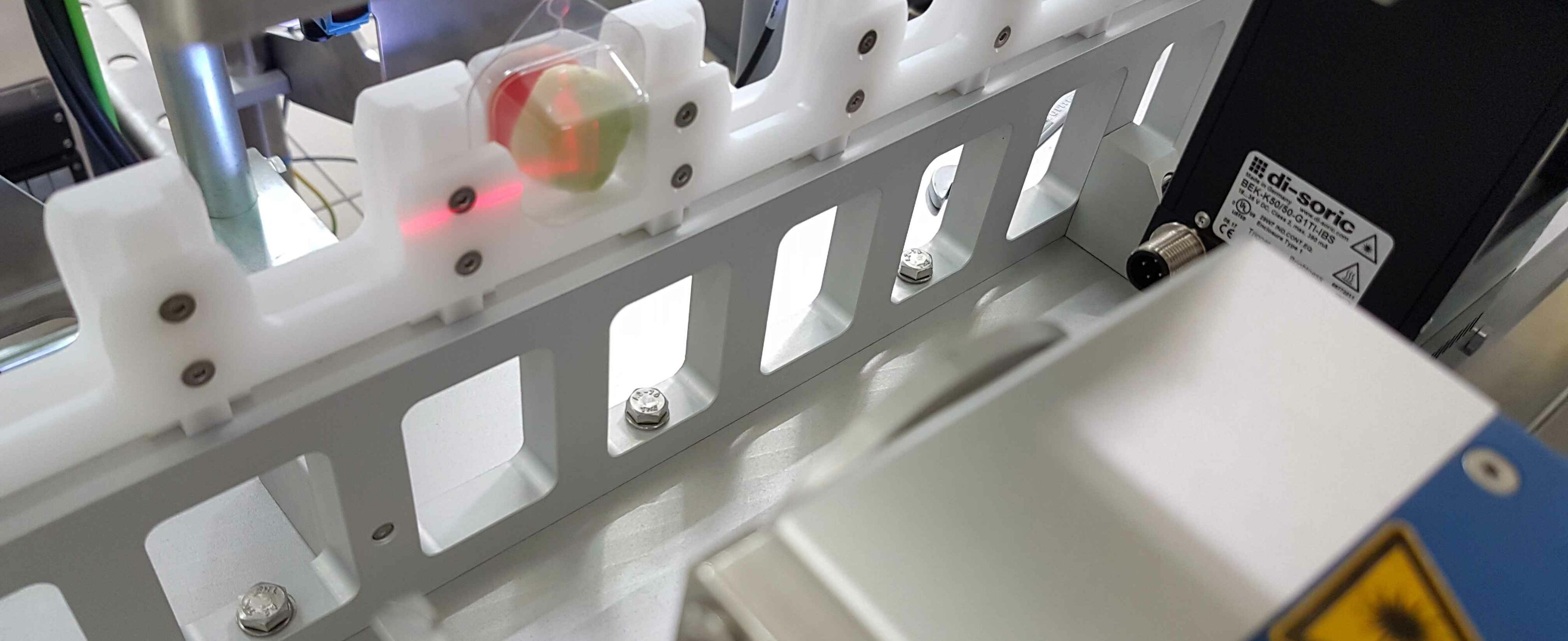 Laser marking of food - Laser marking of food