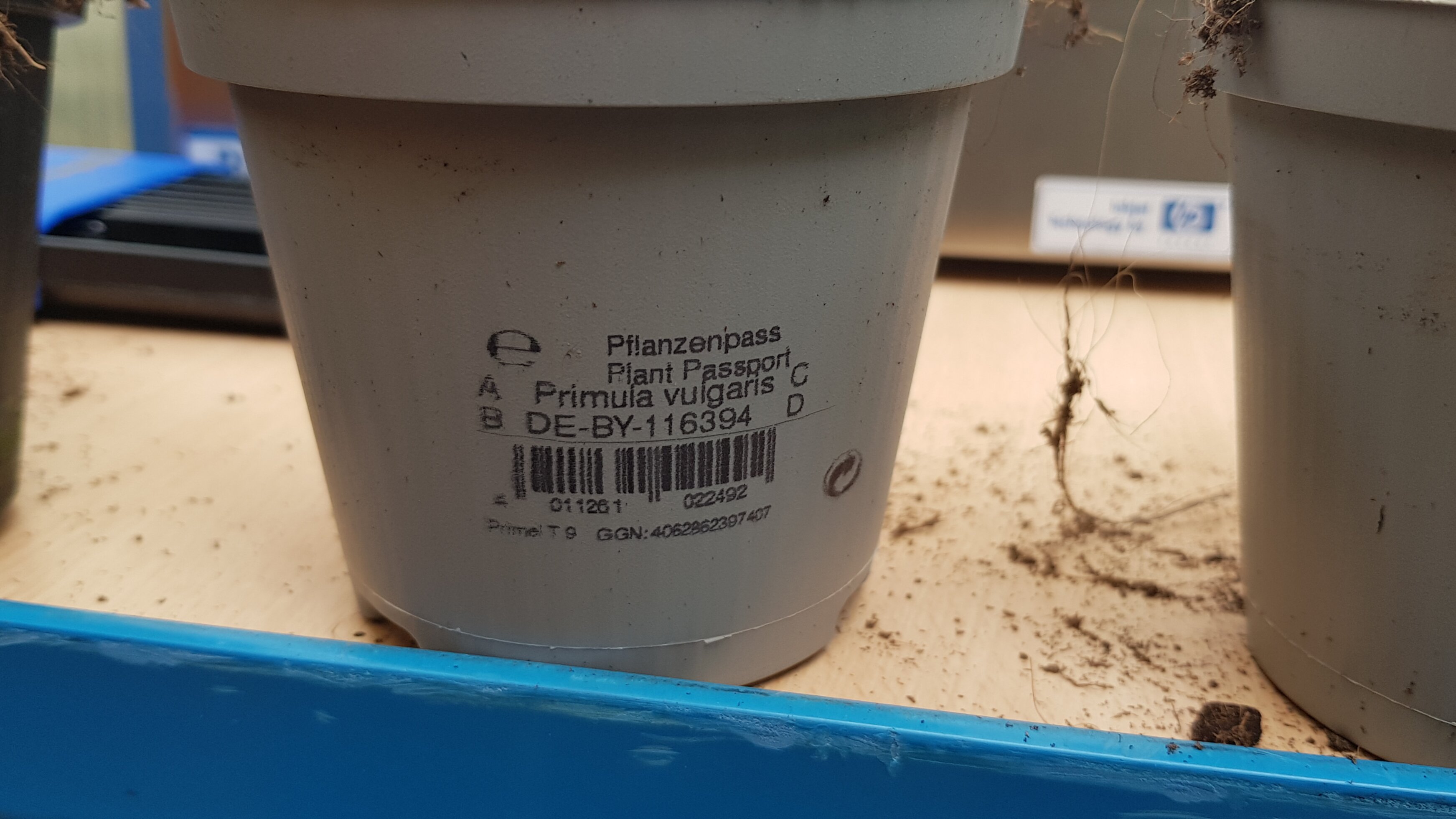 Inkjet coding and marking solutions for plastics